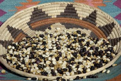 'Posole - Pueblo Indian Dried Corn - in a Native American Basket ...