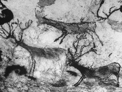 Prehistoric Cave Art Animals