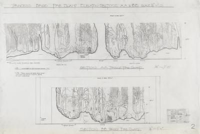 'Princess Bride the Movie: Fire Swamp Illustration' Art Print | Art.com