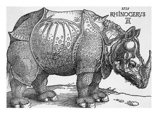 Rhinoceros Giclee Print by Albrecht Dürer at Art.com