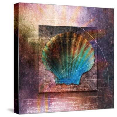 Colorful Clam Shell and Geometry Photographic Print by Colin Anderson ...
