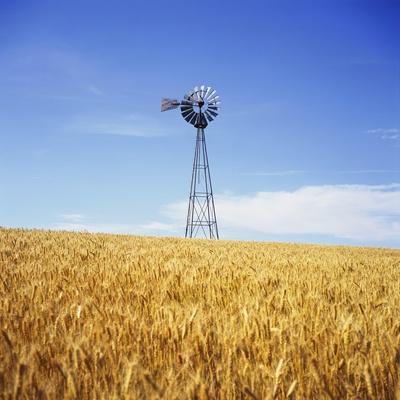 Windmill in Wheat Field Photographic Print by Paul Edmondson at Art.com