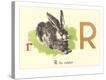 'R is for Rabbit' Art Print | Art.com