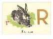 'R is for Rabbit' Art Print | Art.com