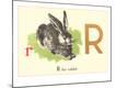 'R is for Rabbit' Art Print | Art.com