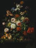 'A Branch of Roses with Beetle and Bee, 1741' Giclee Print - Rachel ...