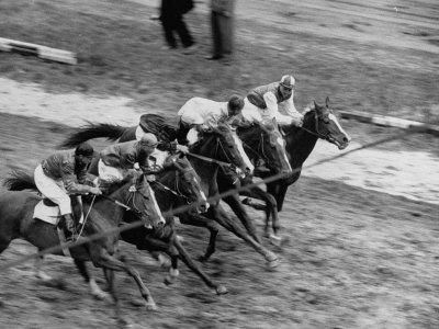 Black And White Horse Racing Photography