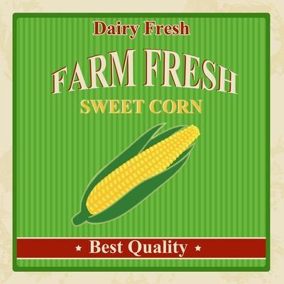 Vintage Farm Fresh Sweet Corn Poster Art Print - radubalint | Art.com