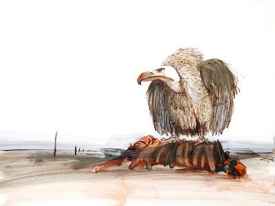 'Animals (birds) 36 (drawing)' Giclee Print - Ralph Steadman | Art.com