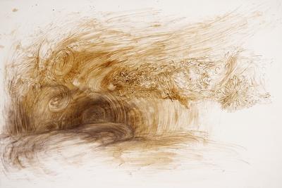 'Leonardo 189 (drawing)' Giclee Print - Ralph Steadman | Art.com