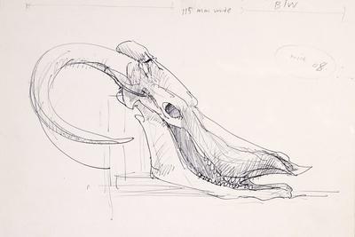 'Leonardo 199 (drawing)' Giclee Print - Ralph Steadman | Art.com