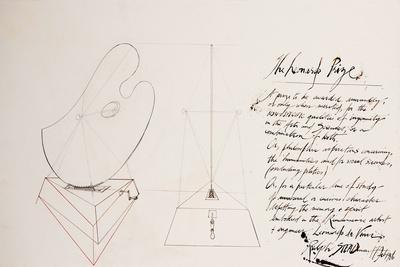 'Leonardo 46 (drawing)' Giclee Print - Ralph Steadman | Art.com