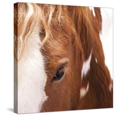 'Bay' Stretched Canvas Print - Ray Hartl | Art.com