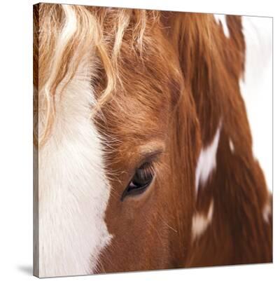 'Bay' Stretched Canvas Print - Ray Hartl | Art.com