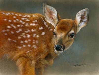 'Fawn Portrait' Art Print - Rebecca Latham | Art.com