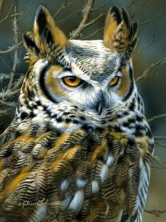 'Focus - Great Horned Owl' Art Print - Rebecca Latham | Art.com