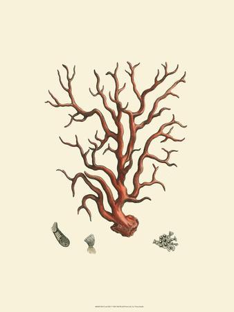 'Red Coral I' Art Print | Art.com