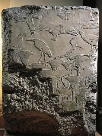 'Relief Depicting Birds Among the Papyri, from Funerary Temple of ...