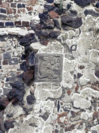 'Relief Depicting Rabbit, Templo Mayor, Mexico City, Mexico, Aztec ...