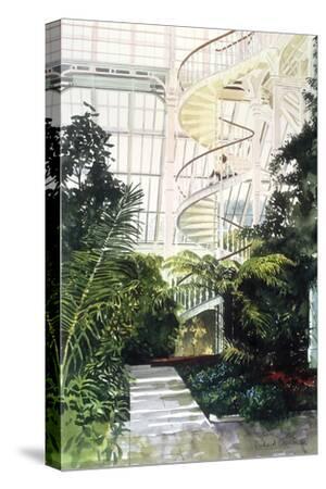 'Spiral Staircase' Stretched Canvas Print - Richard Akerman | Art.com