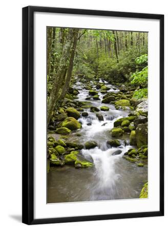 Great Smoky Mountains National Park, Tennessee Framed Photographic ...
