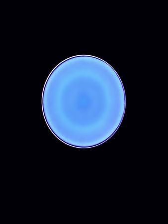 'Circle X, 2005 (Digital C-Type Photogram)' Giclee Print - Richard ...