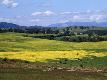 'Wide Open Rolling Landscape, High Country, Australia' Photographic ...