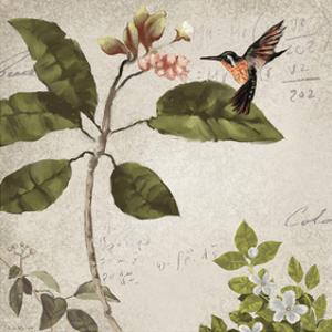 Rick Novak Art: Prints & Paintings | Art.com