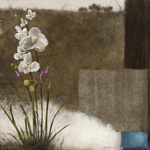 Rick Novak Art: Prints & Paintings | Art.com