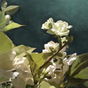 Rick Novak Art: Prints & Paintings | Art.com