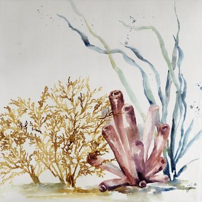 'Undersea Coral II' Giclee Print - Rikki Drotar | Art.com