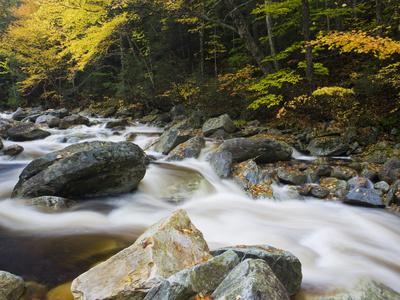 'Roaring Brook in Fall in Vermont's Green Mountains National Forest ...