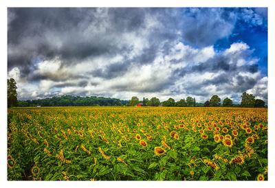 Robert Lott Vendors Stephen Mandell (l To R) Of Florida Talks With