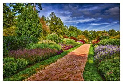 'Yellow Brick Road' Art Print - Robert Lott | Art.com