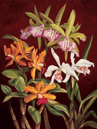 'Orchid Trio II' Art Print - Rodolfo Jimenez | Art.com