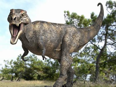 'Tyrannosaurus Rex Dinosaur' Photographic Print - Roger Harris | Art.com