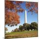 'Washington Monument' Photographic Print - Ron Chapple | Art.com