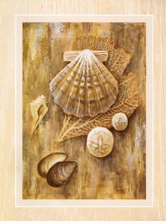 'Assorted Shells' Art Print - Ron Jenkins | Art.com