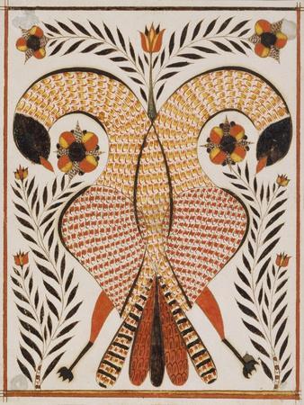 'Watercolor and Ink Decorated Drawing of Intertwined Parrots' Giclee ...