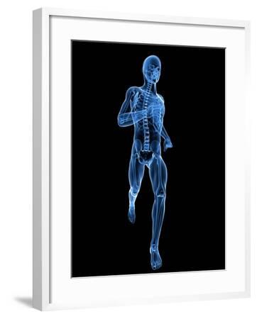 'Running Skeleton, Artwork' Photographic Print - SCIEPRO | Art.com