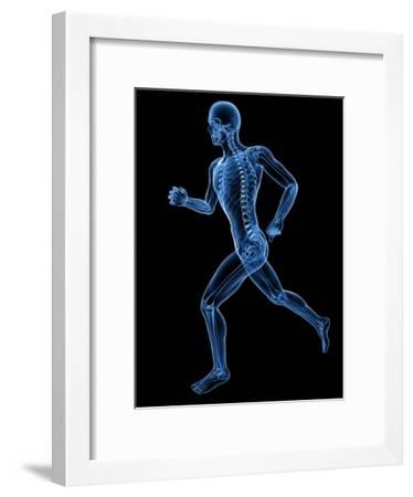 'Running Skeleton, Artwork' Photographic Print - SCIEPRO | Art.com