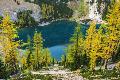 'Fall larch trees and hikers on trail above Lake Agness, Banff National ...
