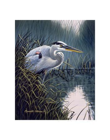 'By the Marsh - Blue Heron' Art Print - Russell Cobane | Art.com