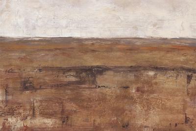 'Rust Terrain II' Art Print - Ethan Harper | Art.com