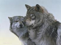 'White Magic' Giclee Print - Rusty Frentner | Art.com