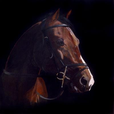 'Untitled' Giclee Print - Rusty Frentner | Art.com