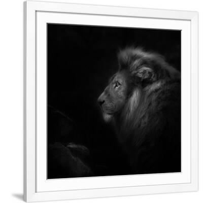 'Royalty' Framed Photographic Print - Ruud Peters | Art.com