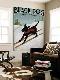 'Black Dog Ski' Loft Art - Ryan Fowler | Art.com