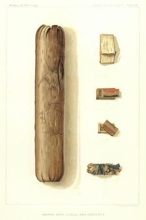 Sacred Bark Scroll and Contents Giclee Print | Art.com