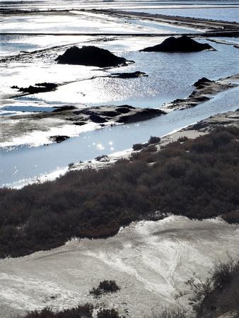 'Salin De Giraud, Commune D'arles. Landscape of Salt Marshes Exploited ...